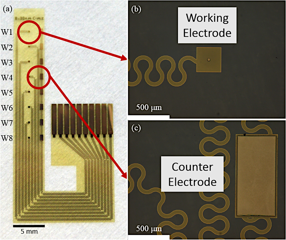 Flexible Microsystems for Health | Center for Microsystems Technology